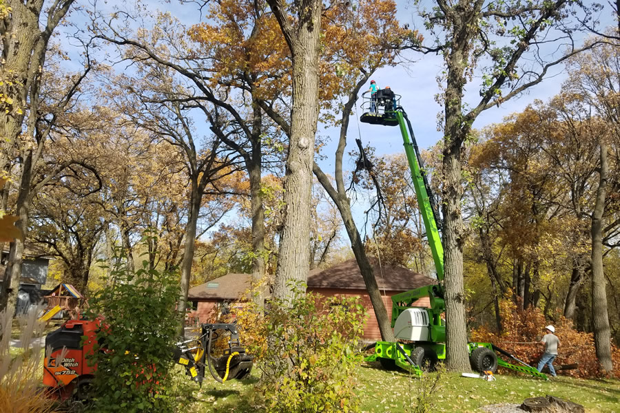 Tree Service Anoka : Princeton : Milaca : Pioneer Tree Service