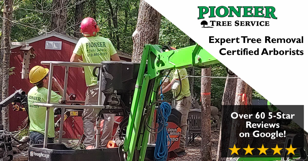 Mora, MN Tree Removal & Tree Services | Pioneer Tree Service